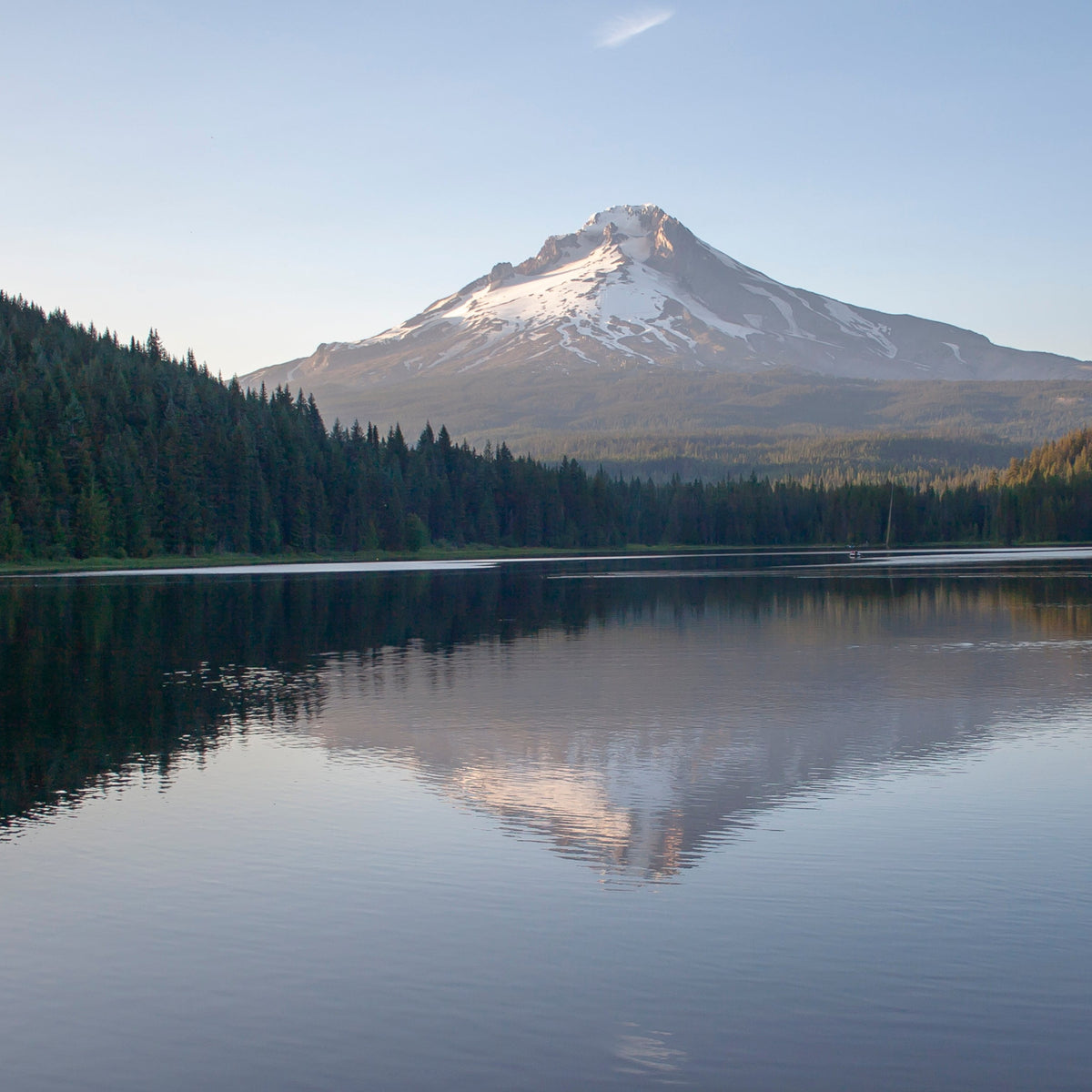 Salt Free Water Softener and Filter Systems – Cascadian Water